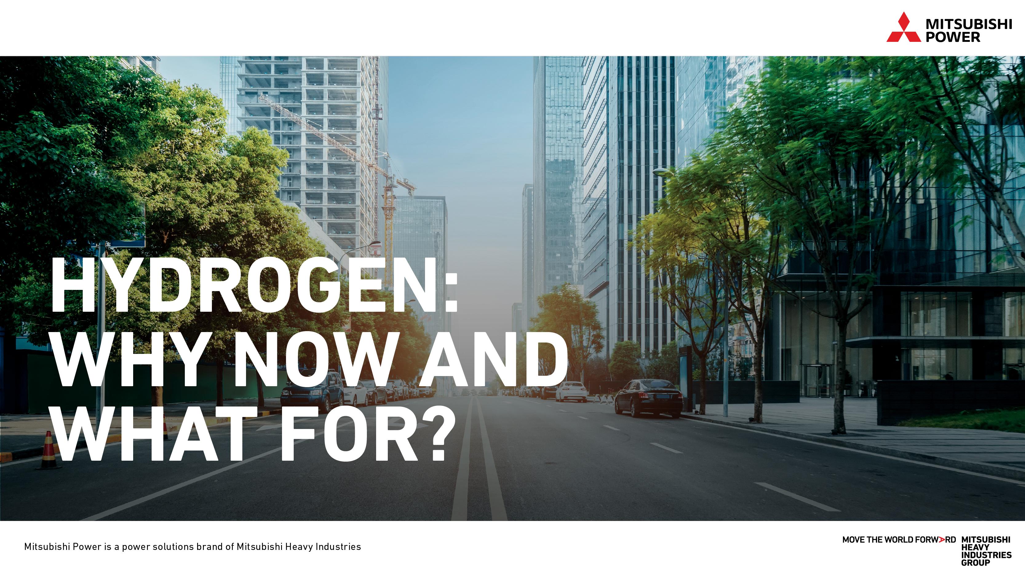 Understanding the Realities of Hydrogen: Key Insights from the IEA Report